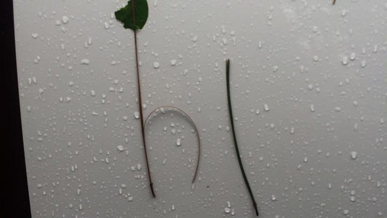 The Weather Channel App Prompts Texas Family to Take Cover; Mom Finds ...