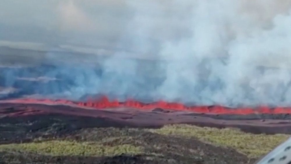 50 Striking Microscopic Images of Viruses and Bacteria | The Weather ...