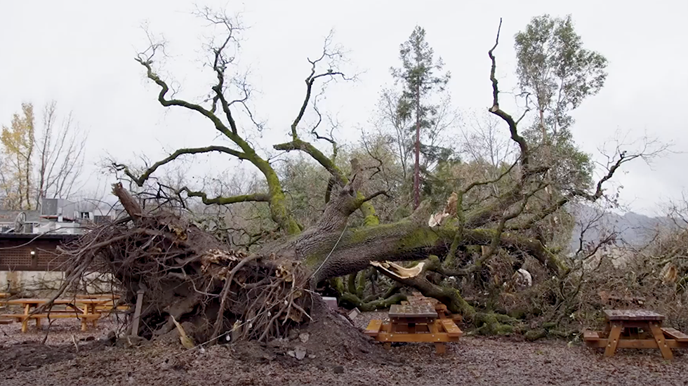 Geoengineering Clouds to Help Climate Could Cause Chaos - Videos from ...