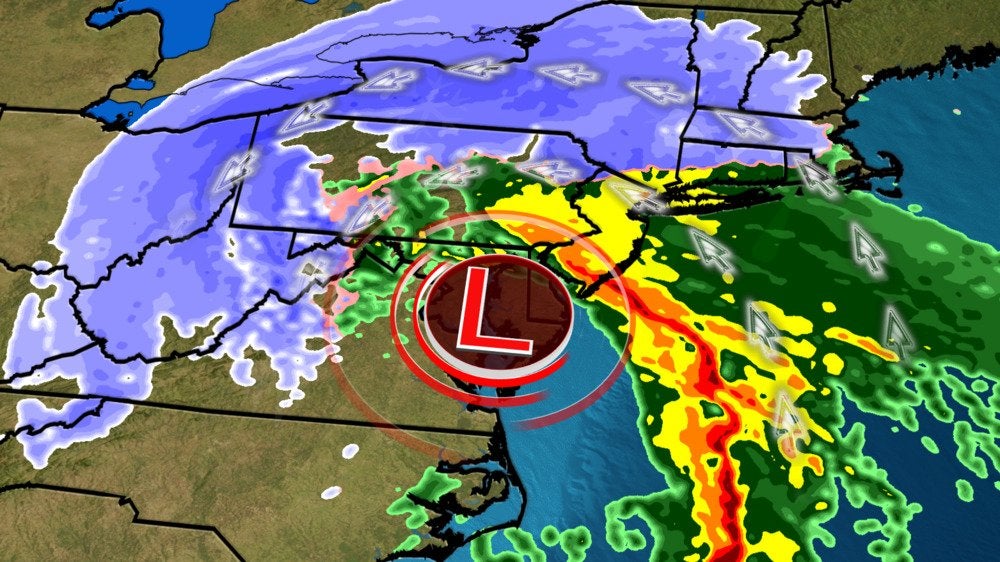 Disease-Carrying Ticks More Likely to Bite Humans in Warmer ...
