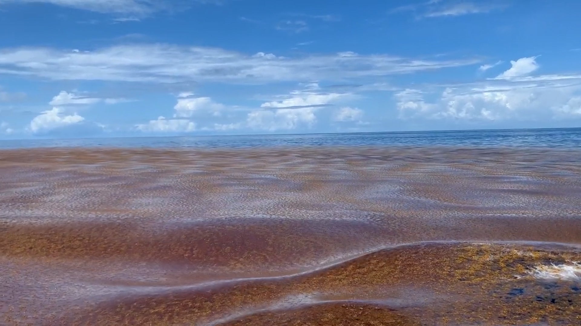 Wildfires Increase Toxic Chromium In Soil, Study Says - Videos from The ...