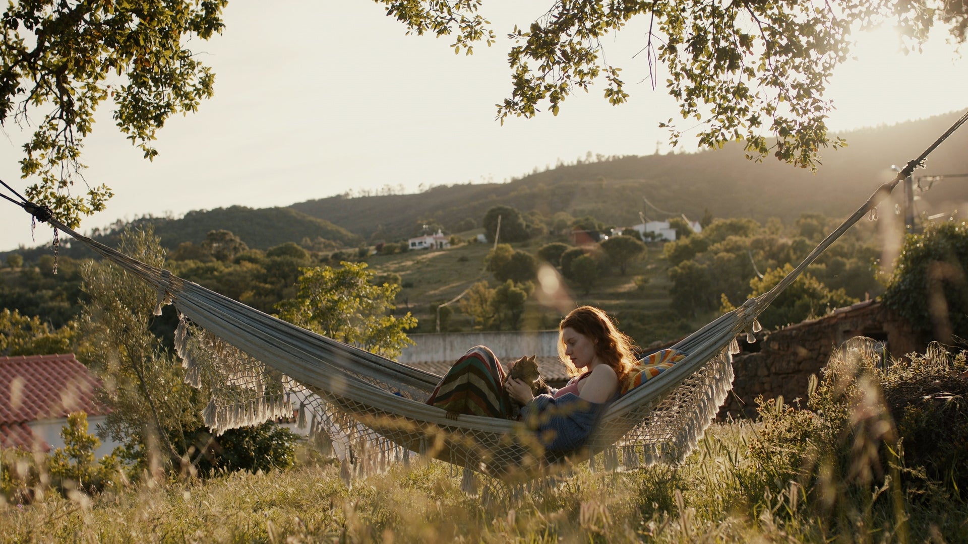 Wildfires Increase Toxic Chromium In Soil, Study Says - Videos from The ...