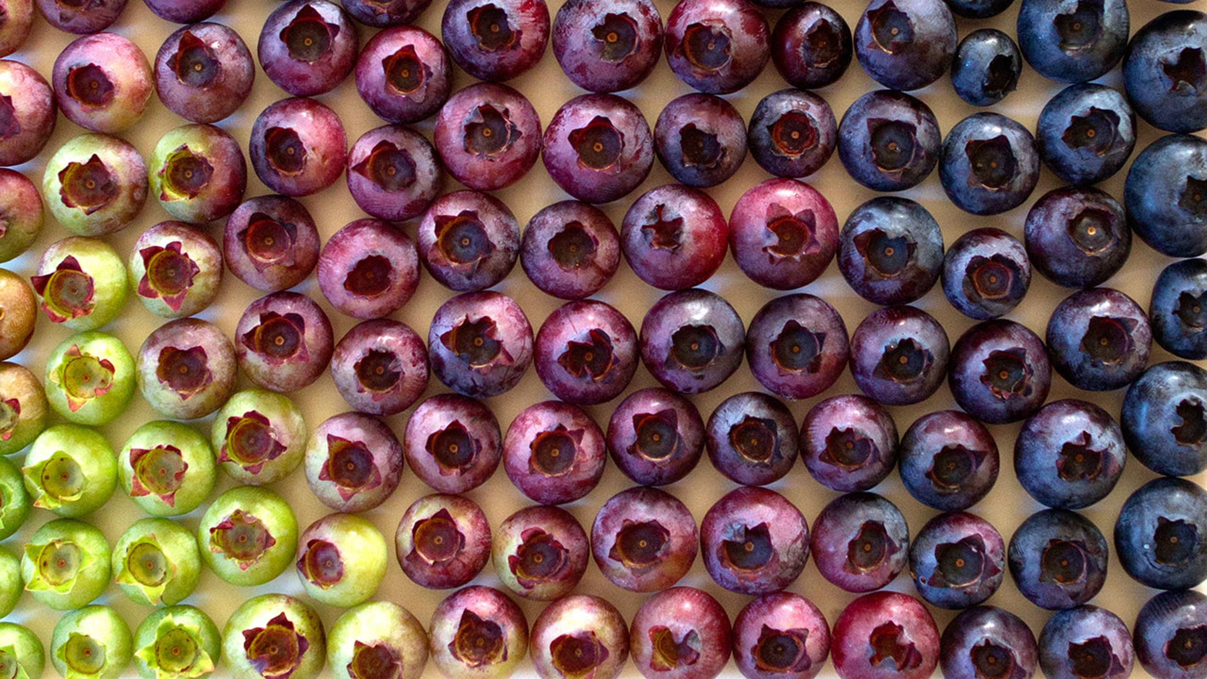 18 Photos That Capture the Beauty of Seasonal Food | The Weather Channel