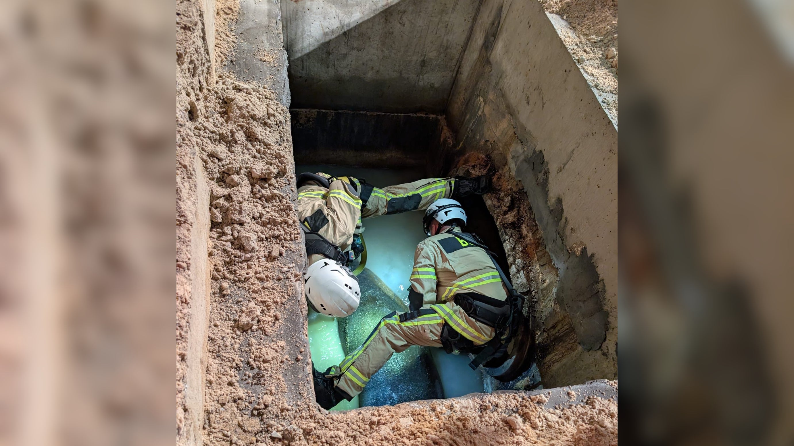 Melby The Manatee Released Two Months After Rescue From Storm Drain ...