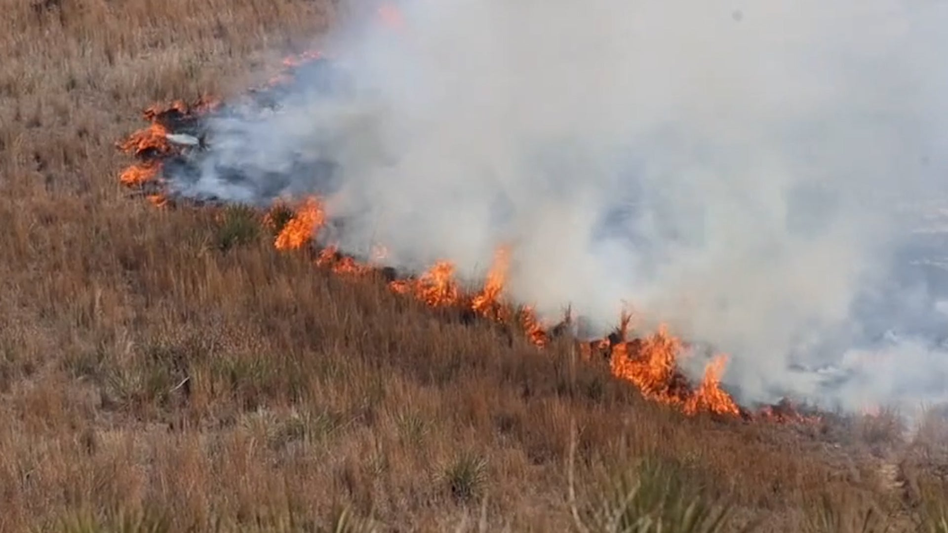 Weather Forecast and Conditions for Arlington, VA - The Weather Channel ...