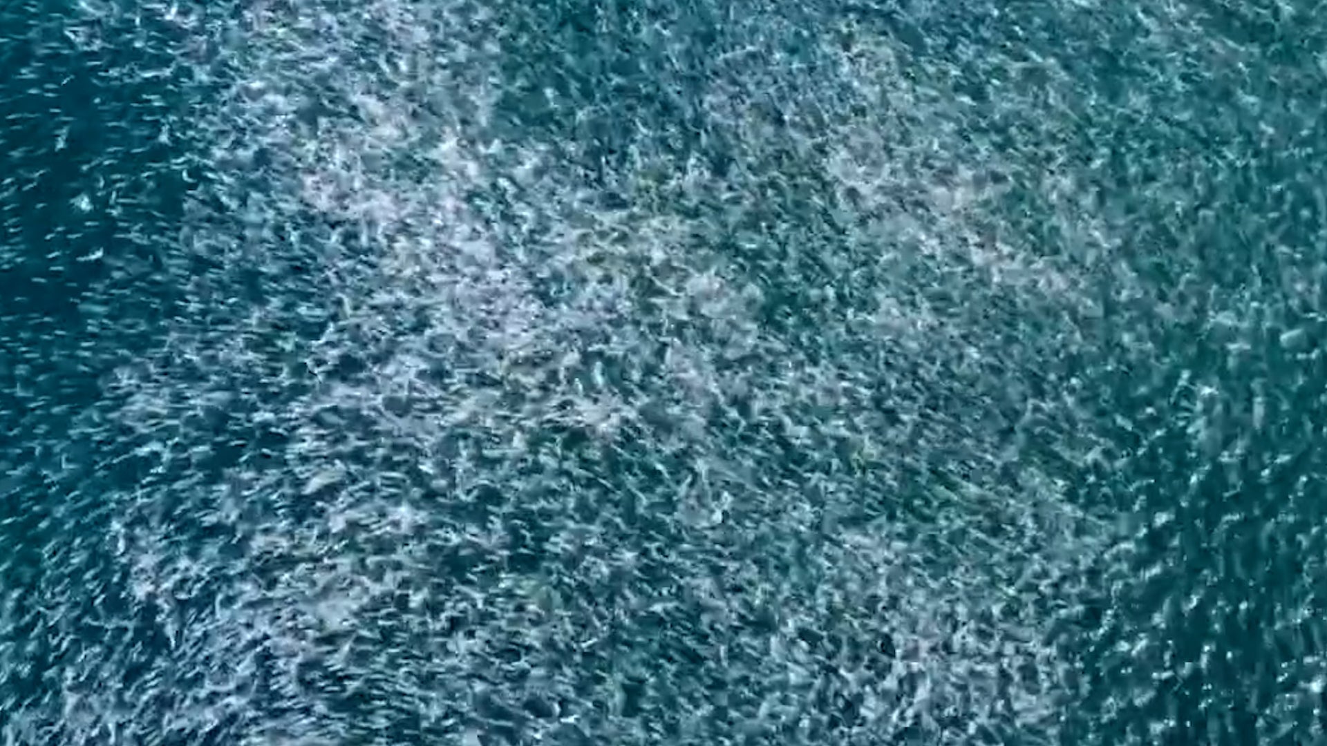 Huge African Dust Storm as Seen From Space - Videos from The Weather ...