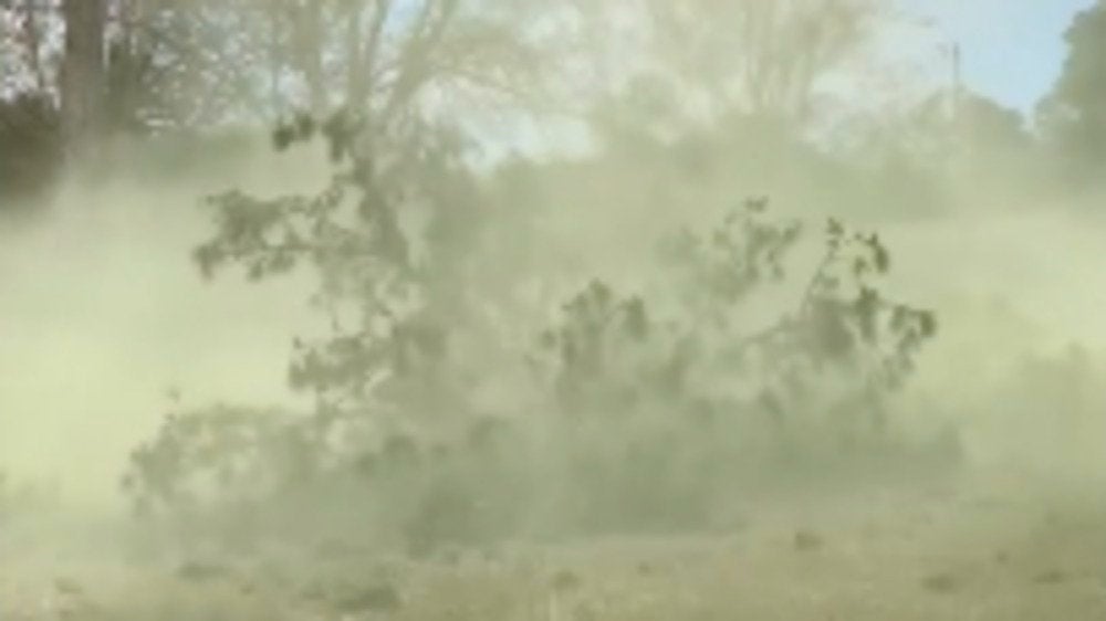 Wind-Blown Pollen Is Making Your Allergies Worse | Weather.com