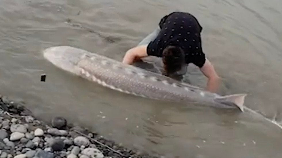 National and Local Weather Radar, Daily Forecast, Hurricane and ...