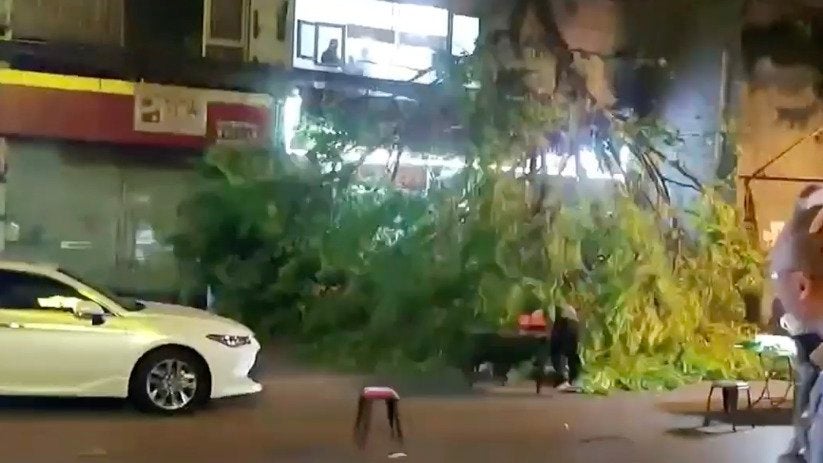 Watch as Wind Topples Tree Onto People - Videos from The Weather Channel
