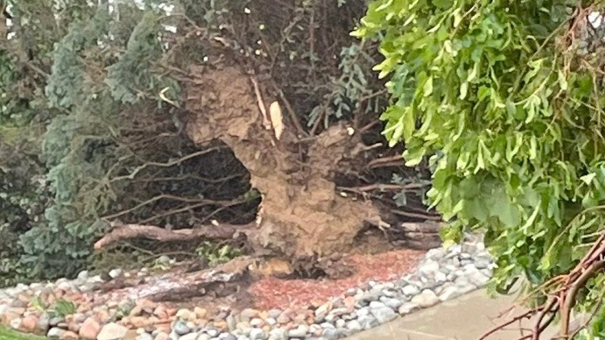 What’s Inside a Dust Devil? Oregon Driver Finds Out - Videos from The ...