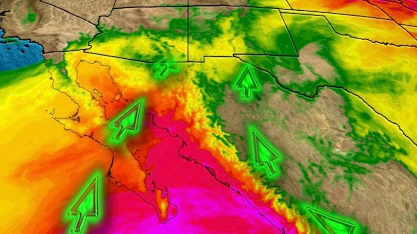5 Worst Cities for Allergy Sufferers - Videos from The Weather Channel ...