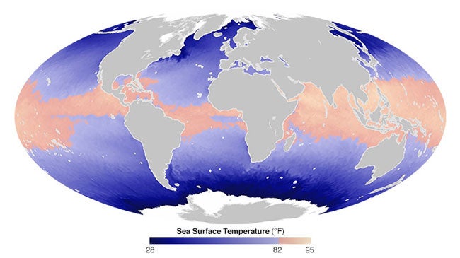 The Heat Is On: Oceans Are Heating Up For Hurricane Season | The ...