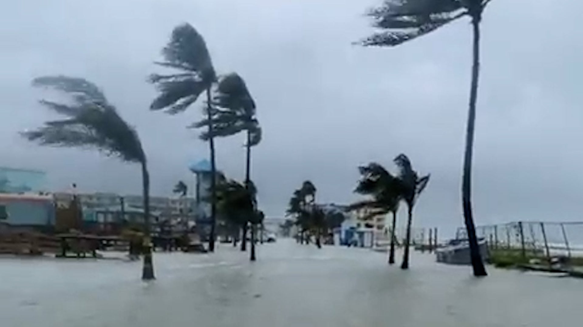 Debby Storm Track Hurricane Live Updates | Weather.com
