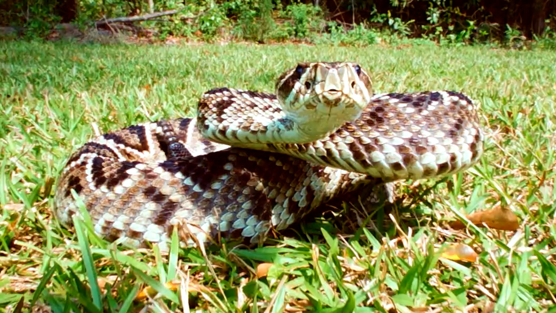 Tracking Nadine And Oscar In The Caribbean - Videos from The Weather ...