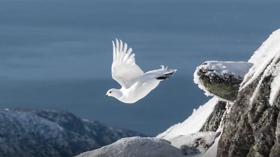 Bright Fireball Lights Up East Coast - Videos from The Weather Channel