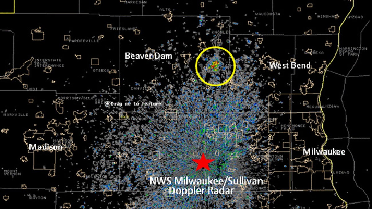 Interstate Traffic, Mayflies and 11 Other Weird Things That Have Shown ...