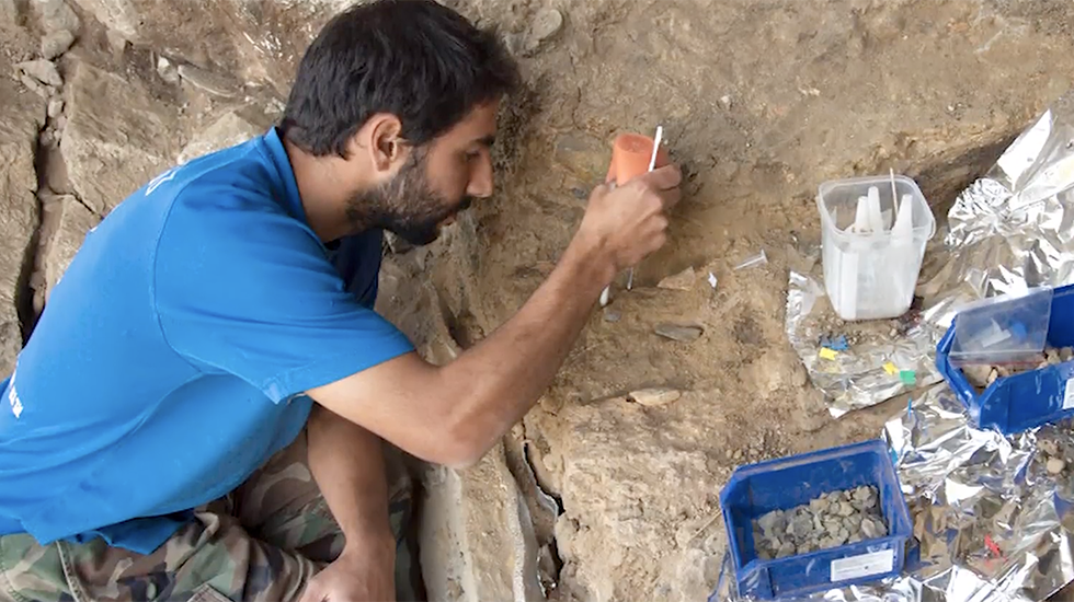 New Genetic Research Of Neanderthal Fossils Shows How They Lived In ...