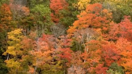 Weird Rusty Patch on the Moon Baffles Scientists - Videos from The ...