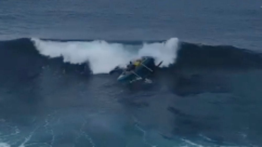 Wild ‘Clapping’ Seal Captured on Camera for First Time - Videos from ...