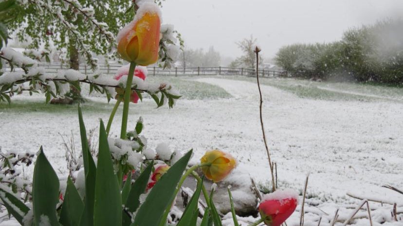 Is Winter (Weather) Really Over? Here's What Spring Snowstorms Have ...
