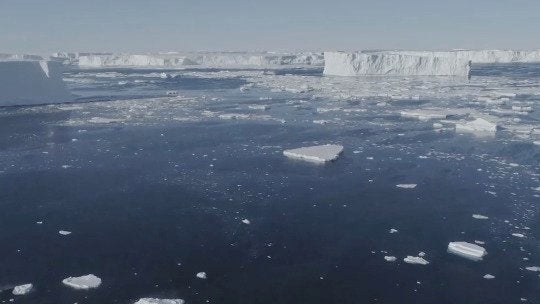 Sloth Tracks Reveal History of Human Hunters - Videos from The Weather ...