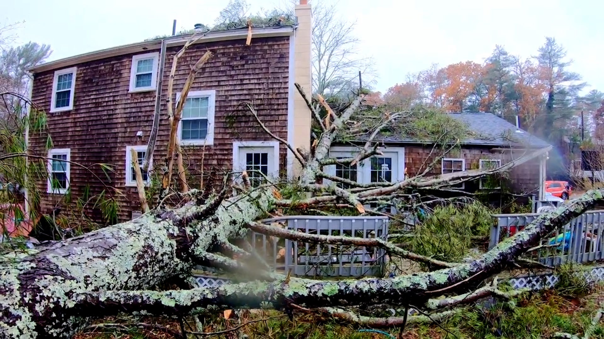 Massive Tree Falls On House - Videos from The Weather Channel