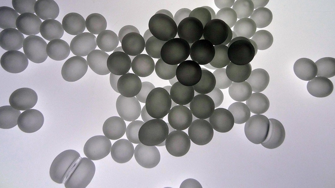 Striking Glass Sculptures of Deadly Viruses and Bacteria (PHOTOS) | The ...