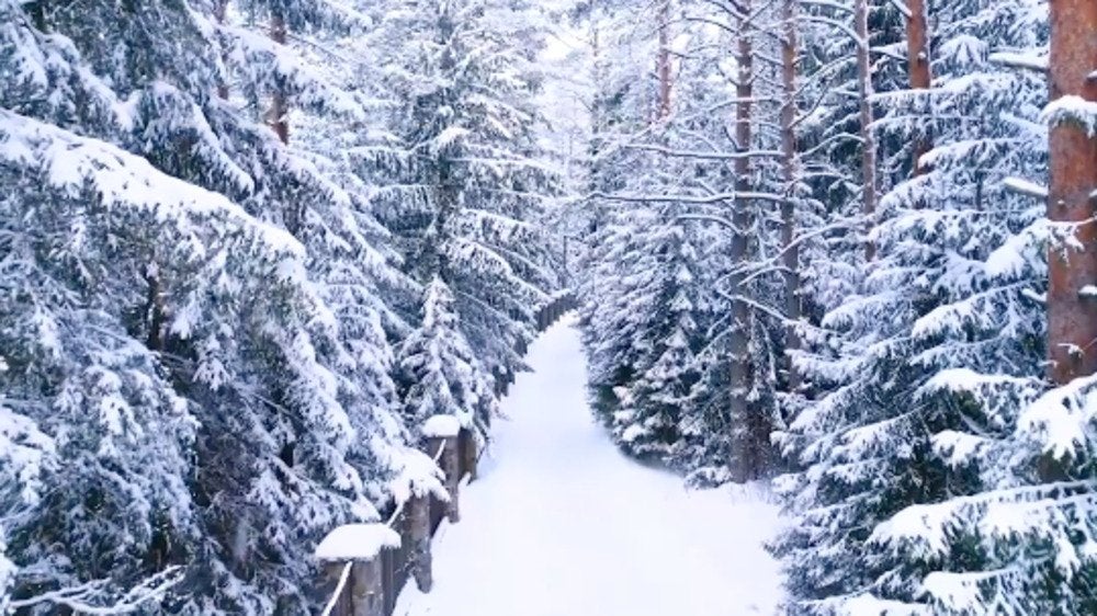 Miami, FL Weather Forecast and Conditions - The Weather Channel ...