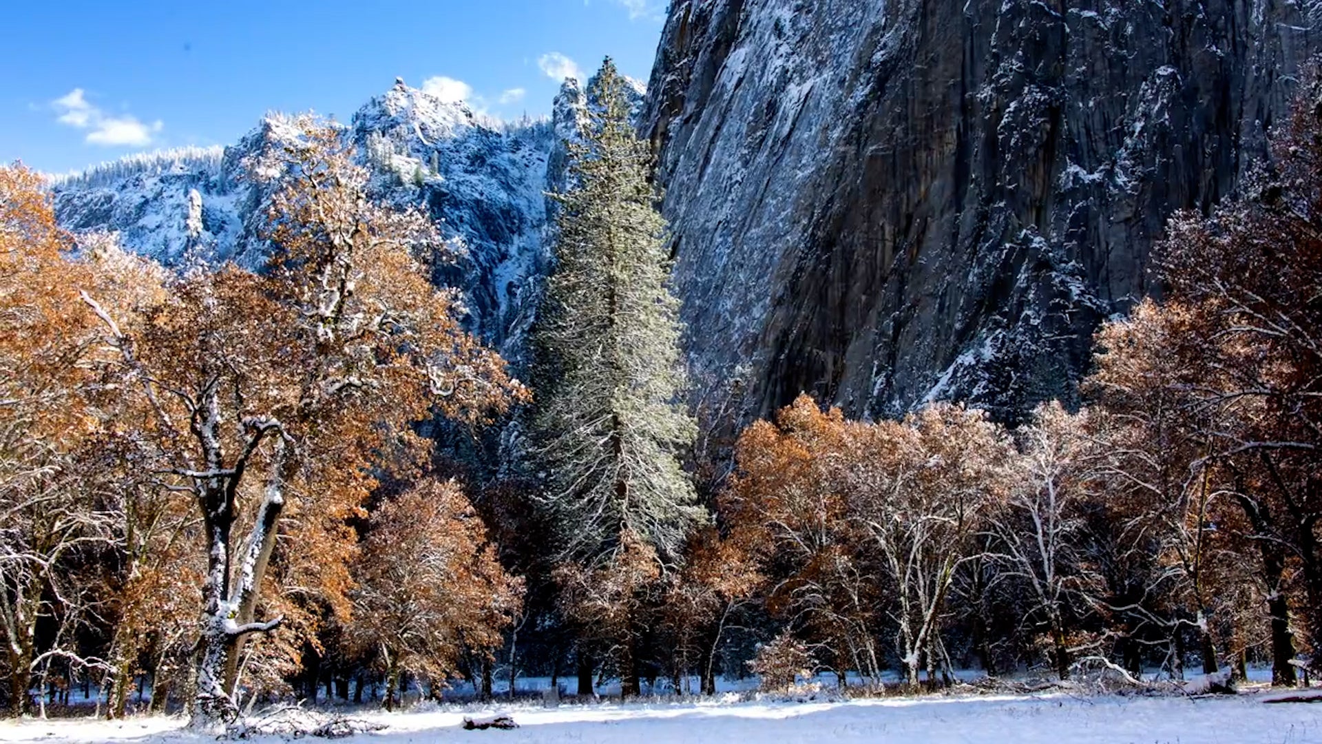 Watermelon Snow Caused by Algae Spotted in Glacier National Park ...