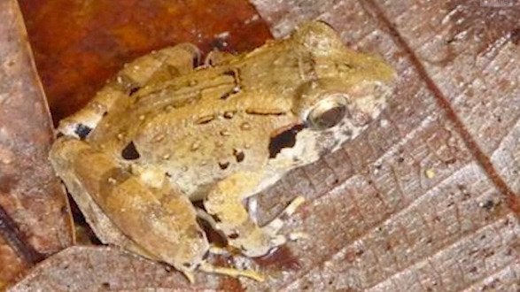 The Most Powerful Blast in Recorded History - Videos from The Weather ...