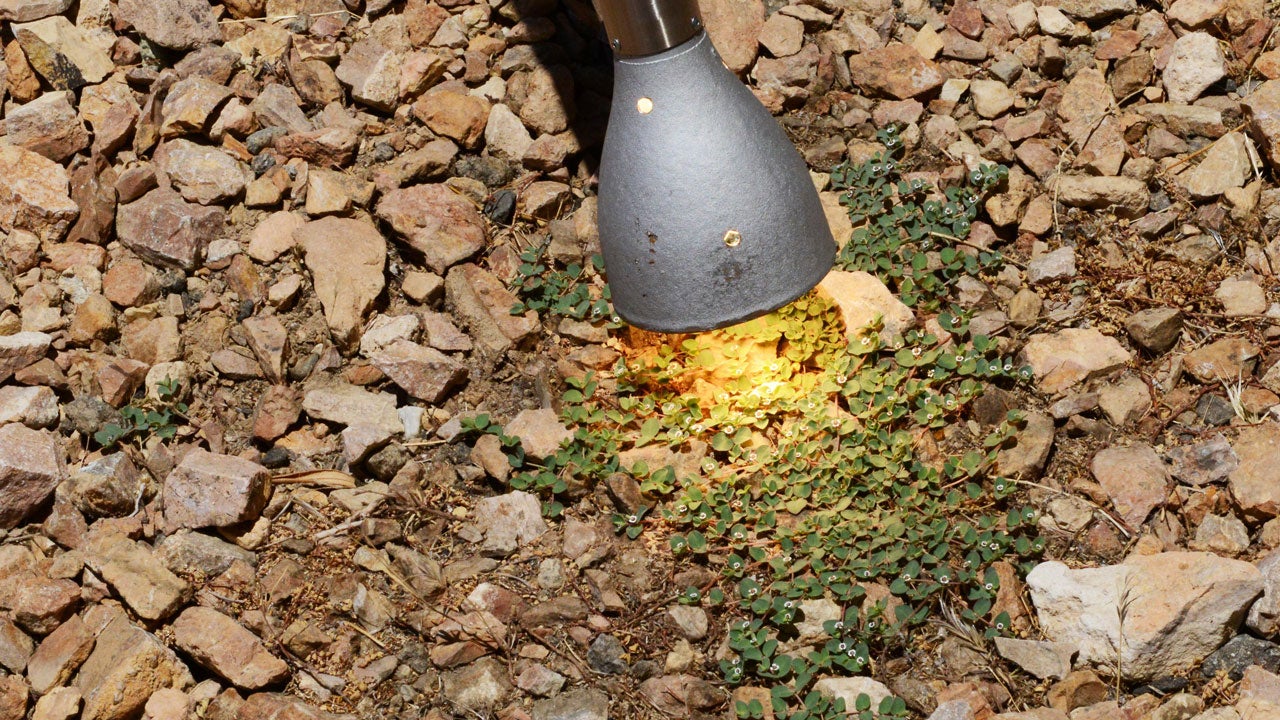 U.S. Air Force Testing Light Beams From Weed-Zapping Wand as a ...