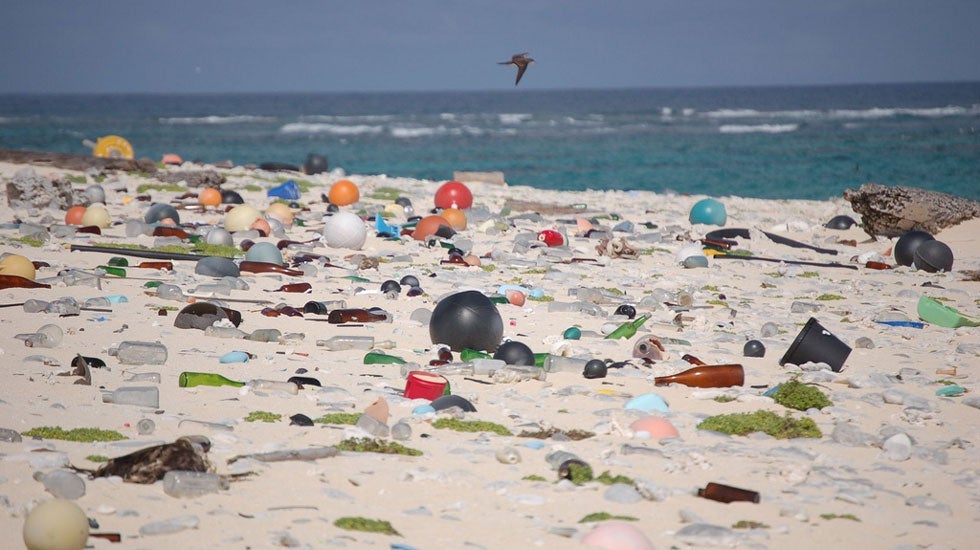 Plastic Garbage Is Turning Into a New Kind of Rock in Hawaii | The ...