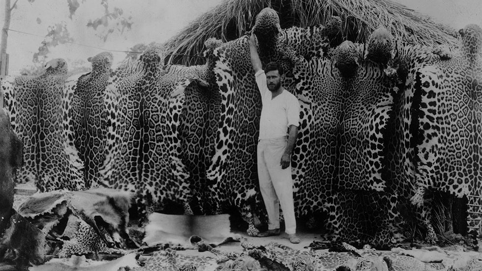GRAPHIC PHOTOS: Vintage Poaching and Hunting | The Weather Channel