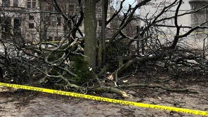Falling Tree Injures Four On Northwestern University Campus | Weather.com
