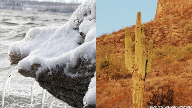 Winter Forecast: Cold Winter More Likely For Some | Weather.com