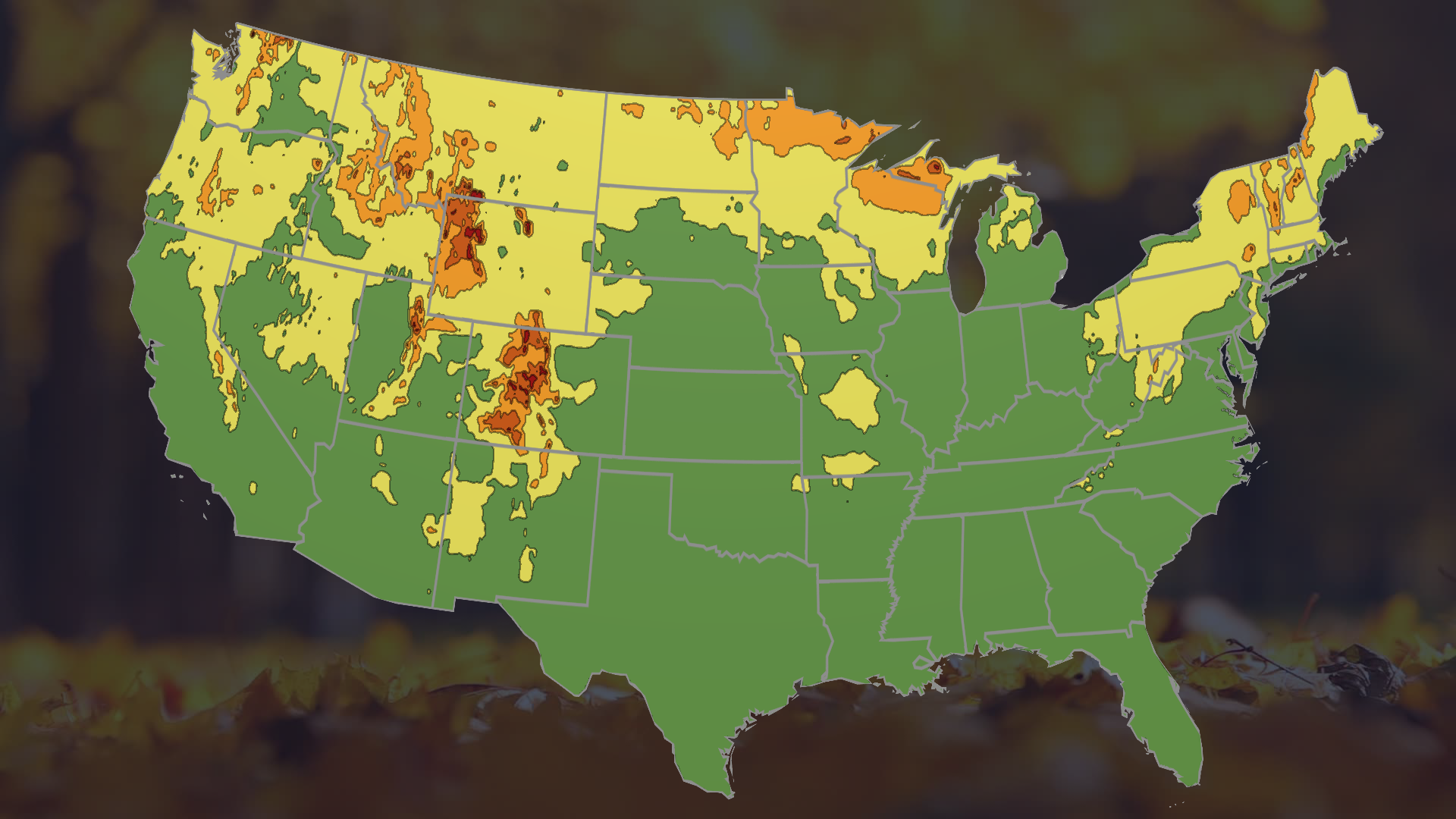 Fall Foliage Map Tracker: Current Status And Peak Times | Weather.com