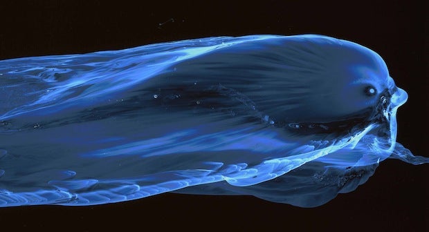 Stunning Photos Capture Water's Bizarre 'Faces' | Weather.com