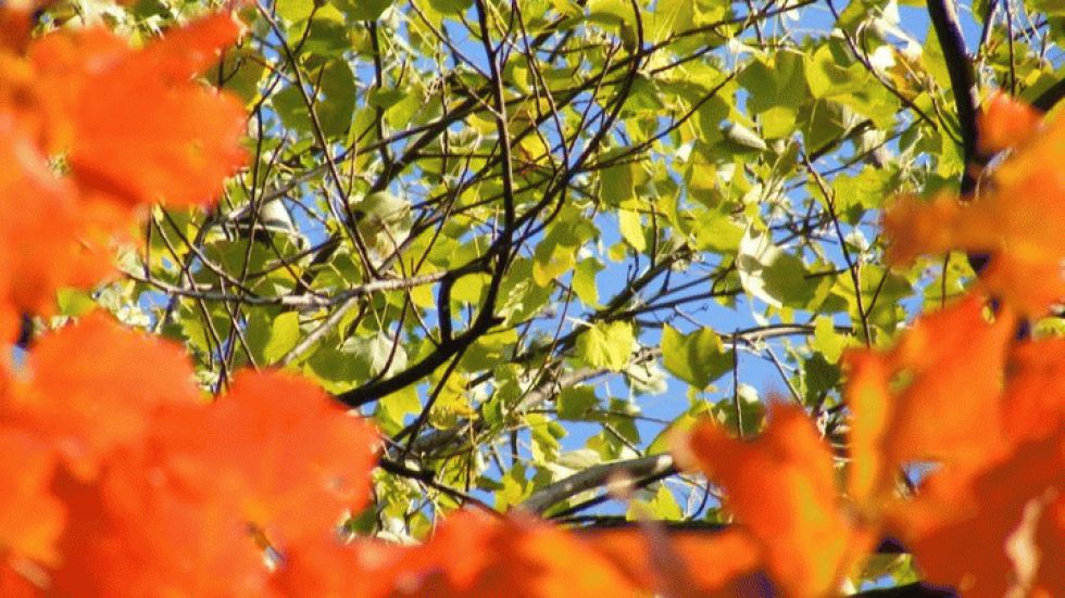 Best Places To Enjoy Fall Weather | The Weather Channel