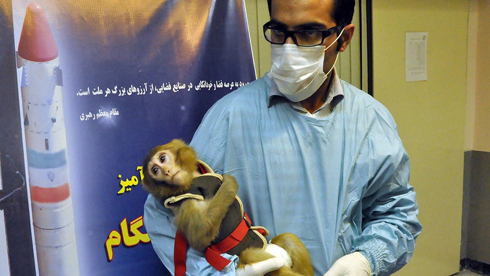 Iran Announces Plans to Send Another Monkey Into Space | Weather.com