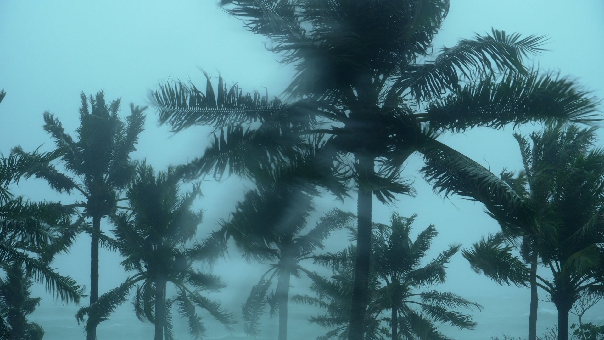 When Does Monsoon Season Begin? - Videos from The Weather Channel