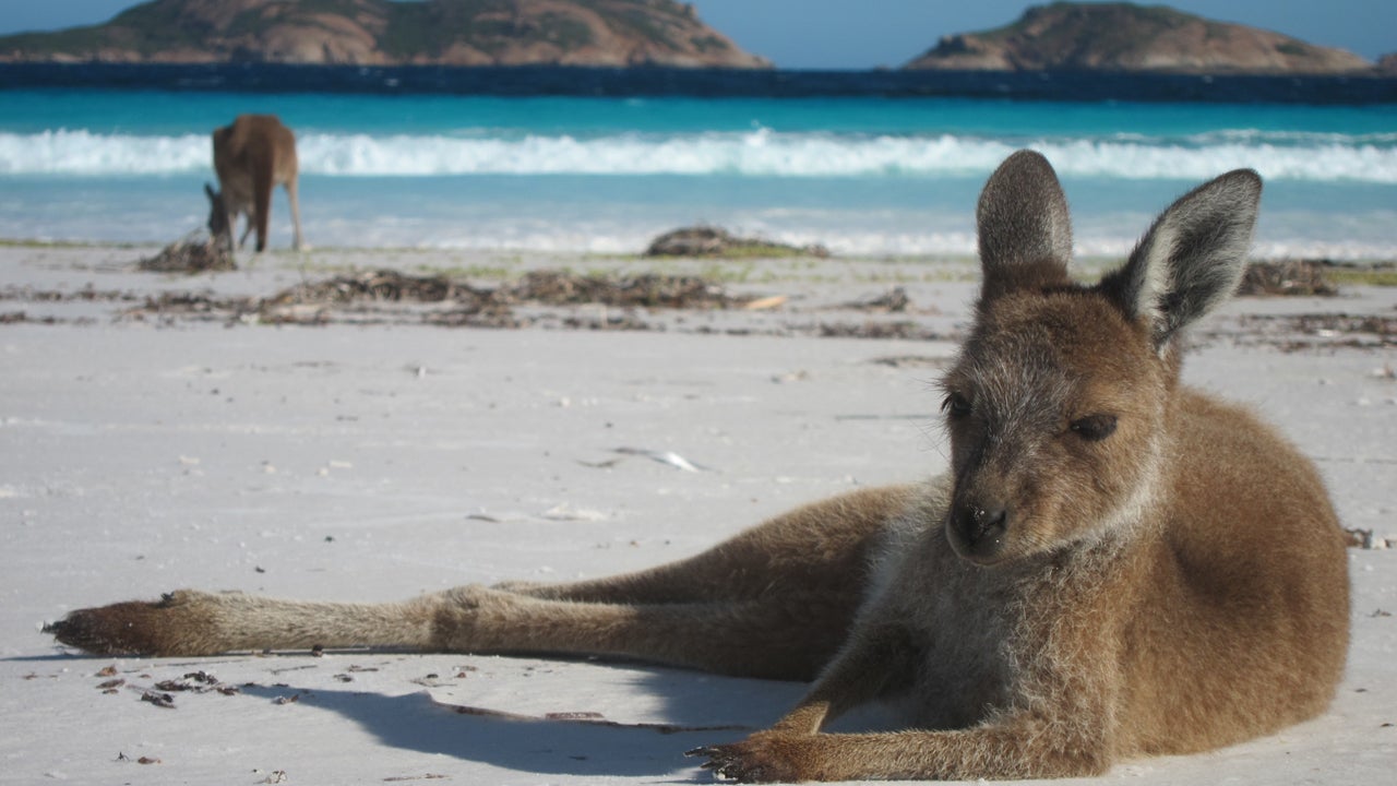 Wonders of Down Under: 50 Amazing Places to See in Australia (PHOTOS ...