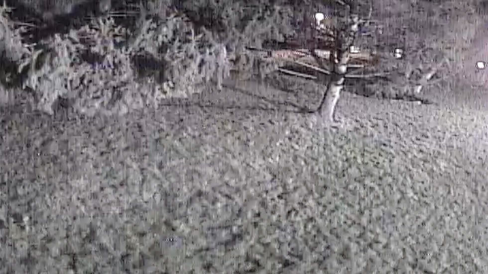 Caught on Camera: Roof About to Be Ripped Off - Videos from The Weather ...