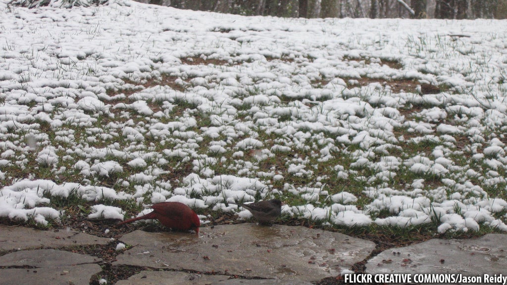 America's Freakiest Winter Heat Waves | The Weather Channel