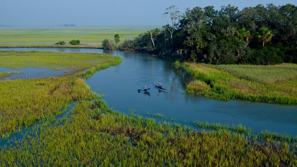 Marsh Magic: 7 Amazing Wetlands to Visit This Spring (PHOTOS) | The ...