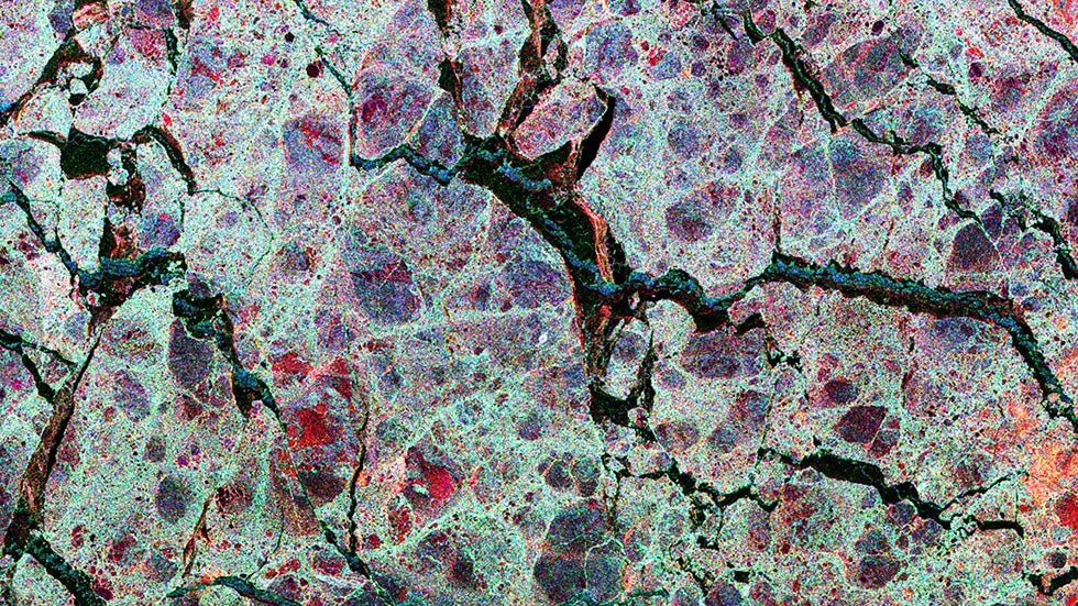 Macro or Micro: Can You Tell These Images Apart? | The Weather Channel