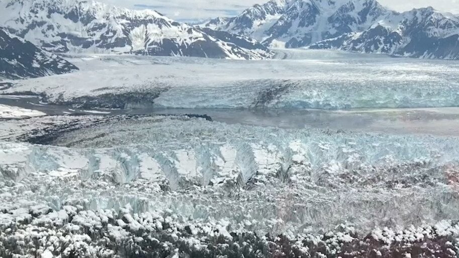 Hurricane Delta Provides an Eerie Soundtrack as Trees Dance in the Wind ...