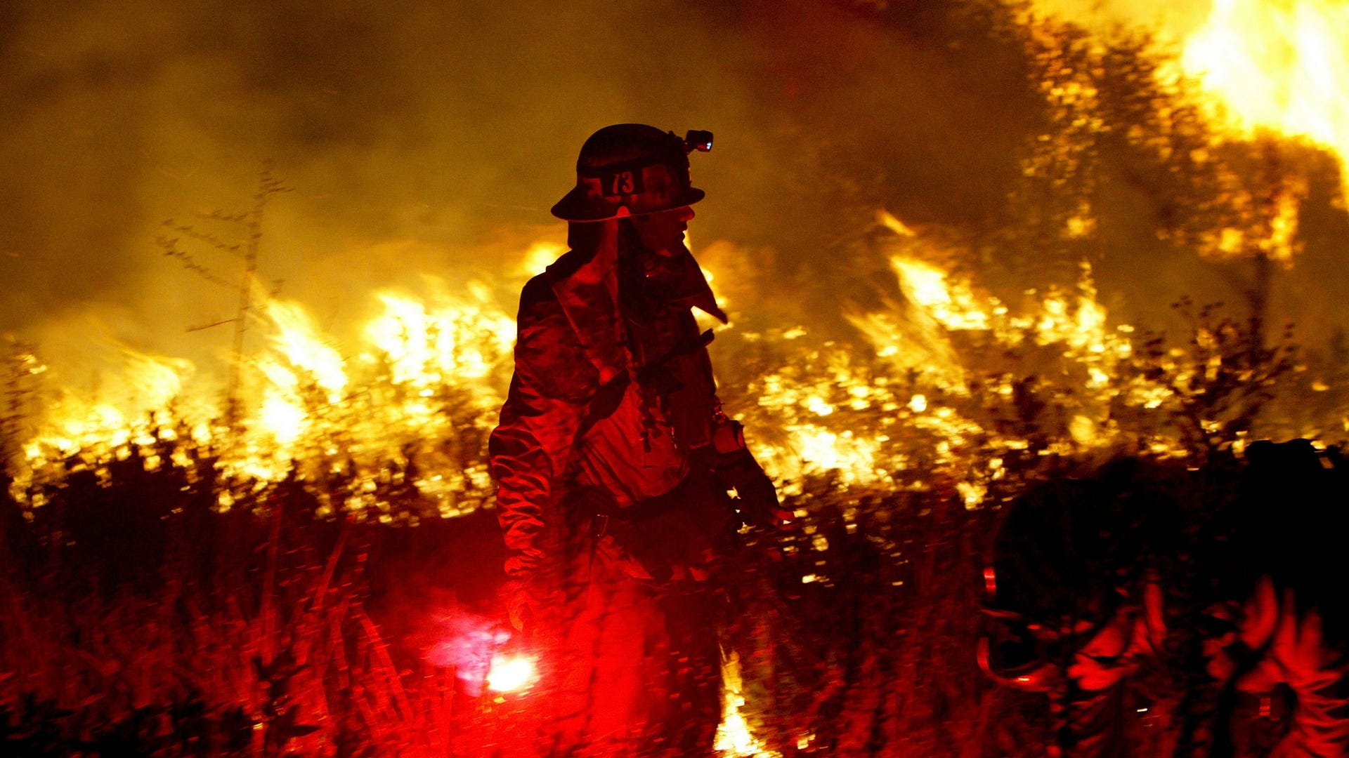 Wildfire Burn Scars: How Long Until They Heal? | Weather.com