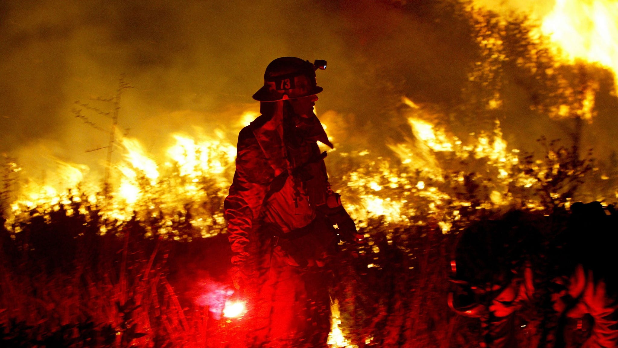 Wildfire Burn Scars: How Long Until They Heal? | Weather.com