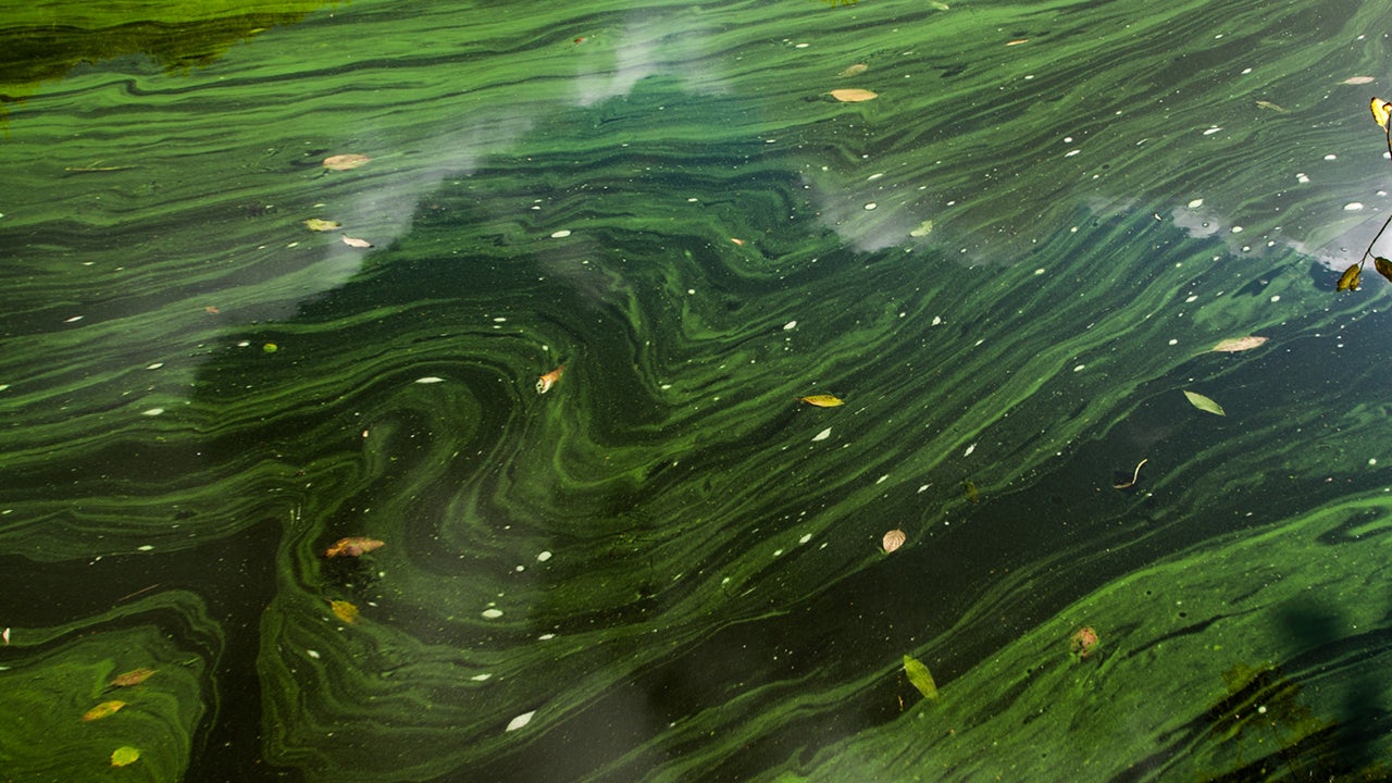 After Heavy Rain, Raw Sewage Flows into Waterways, Contributing to ...