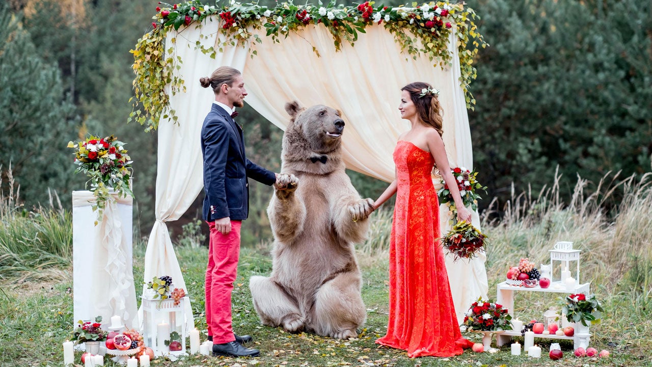 Russian Couple Shares Their Wedding Day With a Brown Bear (PHOTOS ...
